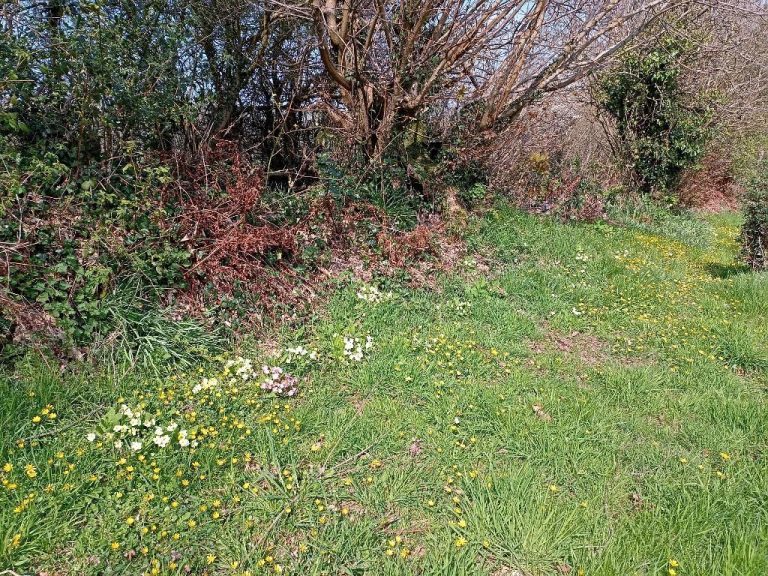 3 bed detached house for sale in Unmarked Road, Boncath, Pembrokeshire ...